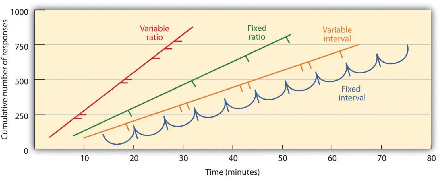 6.2 Changing Behaviour Through Reinforcement and Punishment: Operant Conditioning – Psychology ...
