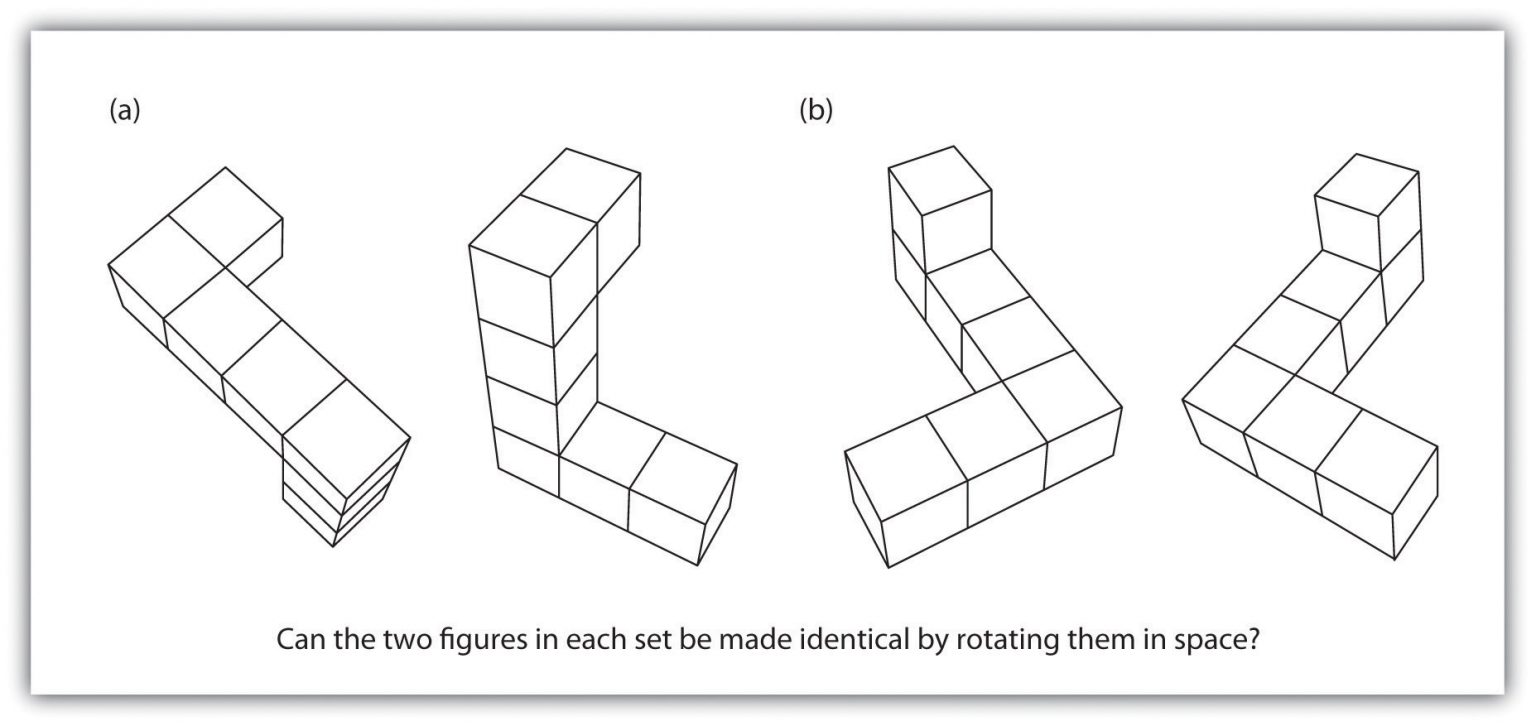 9.2 Individual Differences in Intelligence – Psychology – 1st Canadian ...
